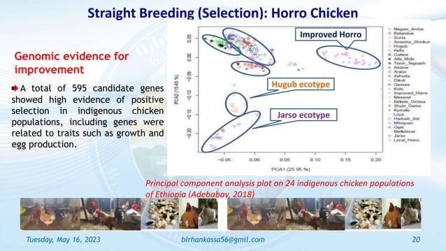 Chapter 9_Breeding program options_Birhan.pptx