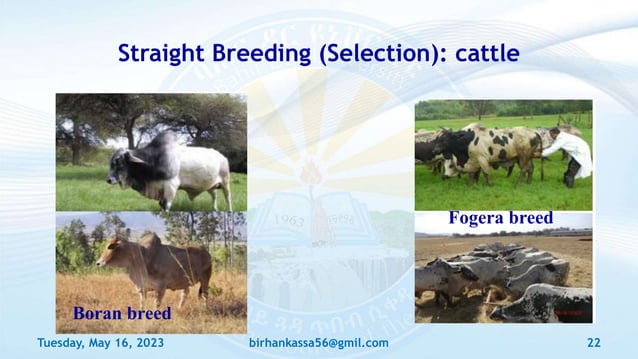 Chapter 9_Breeding program options_Birhan.pptx