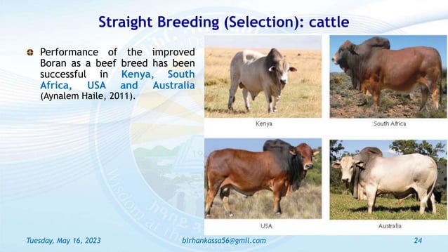 Chapter 9_Breeding program options_Birhan.pptx