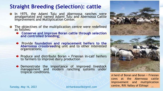 Chapter 9_Breeding program options_Birhan.pptx