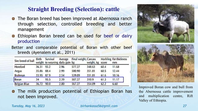 Chapter 9_Breeding program options_Birhan.pptx