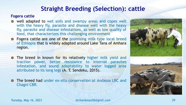 Chapter 9_Breeding program options_Birhan.pptx