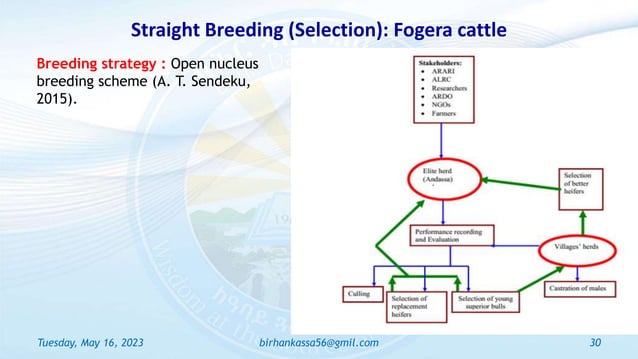 Chapter 9_Breeding program options_Birhan.pptx