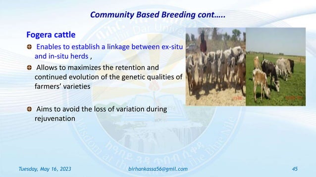 Chapter 9_Breeding program options_Birhan.pptx