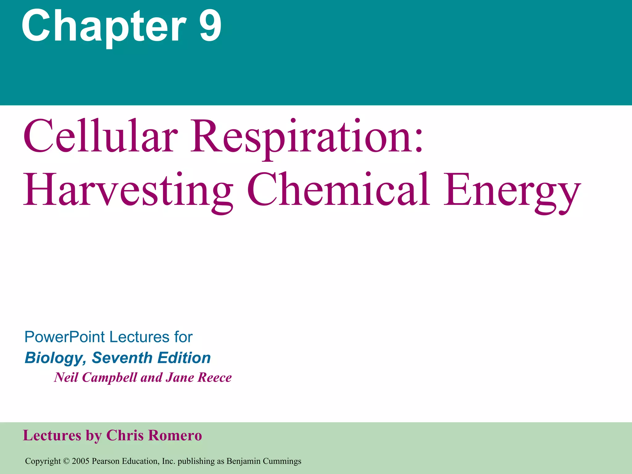 Chapter9cellrespirationppt2blank | PPT | Chemistry | Science