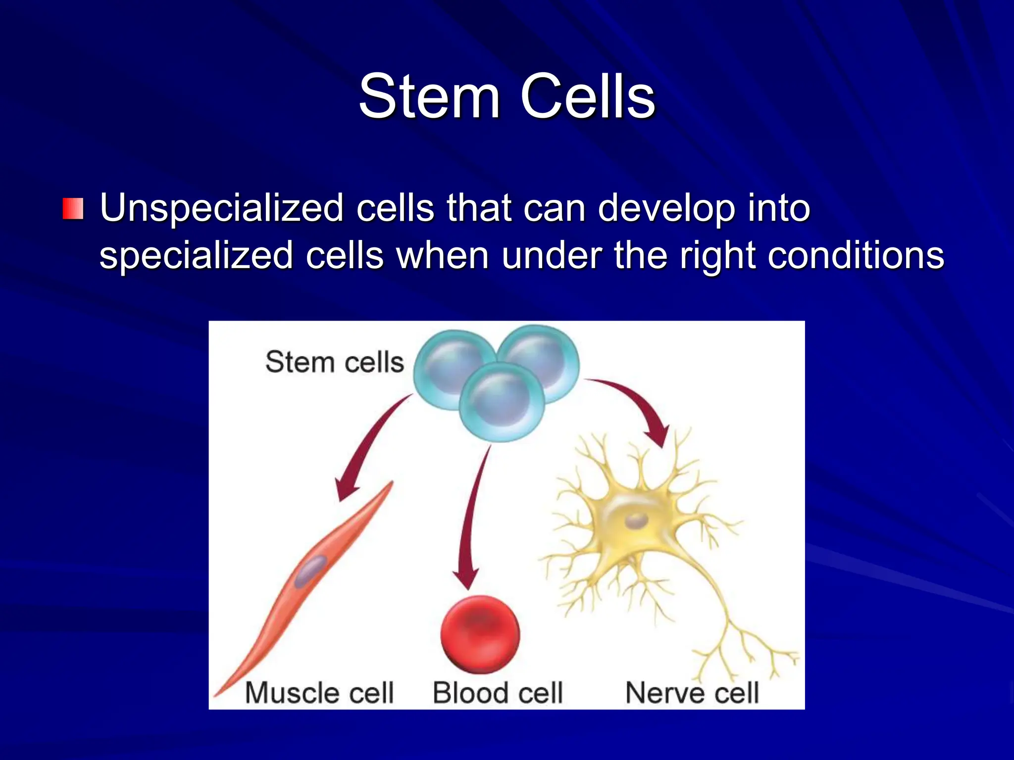 Chapter 9 Cellular Reproduction Science 8 | PPT