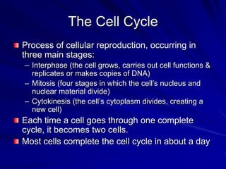 Chapter 9 Cellular Reproduction Science 8 | PPT