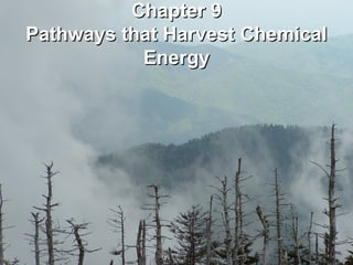 Chapter 9 complete | PPT