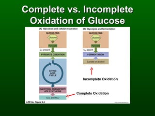 Chapter 9 complete | PPT