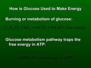 Chapter 9 complete | PPT