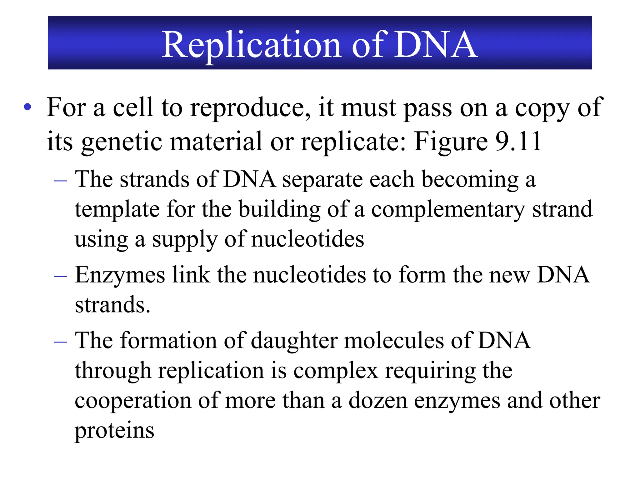 Chapter 9 DNA Replication and Protein Synthesis | PDF