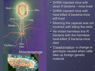 Chapter9DNATheGeneticcharacteristics.ppt