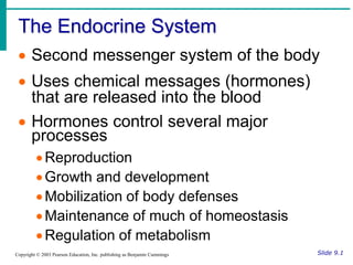 Endocrine system of Human in detail diagram | PPT