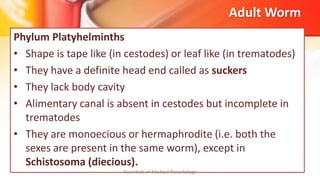 Helminths.pptx