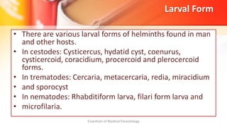 Helminths.pptx | Infertility | Reproductive Health