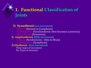 Chapter9 jointsmarieb | PPT