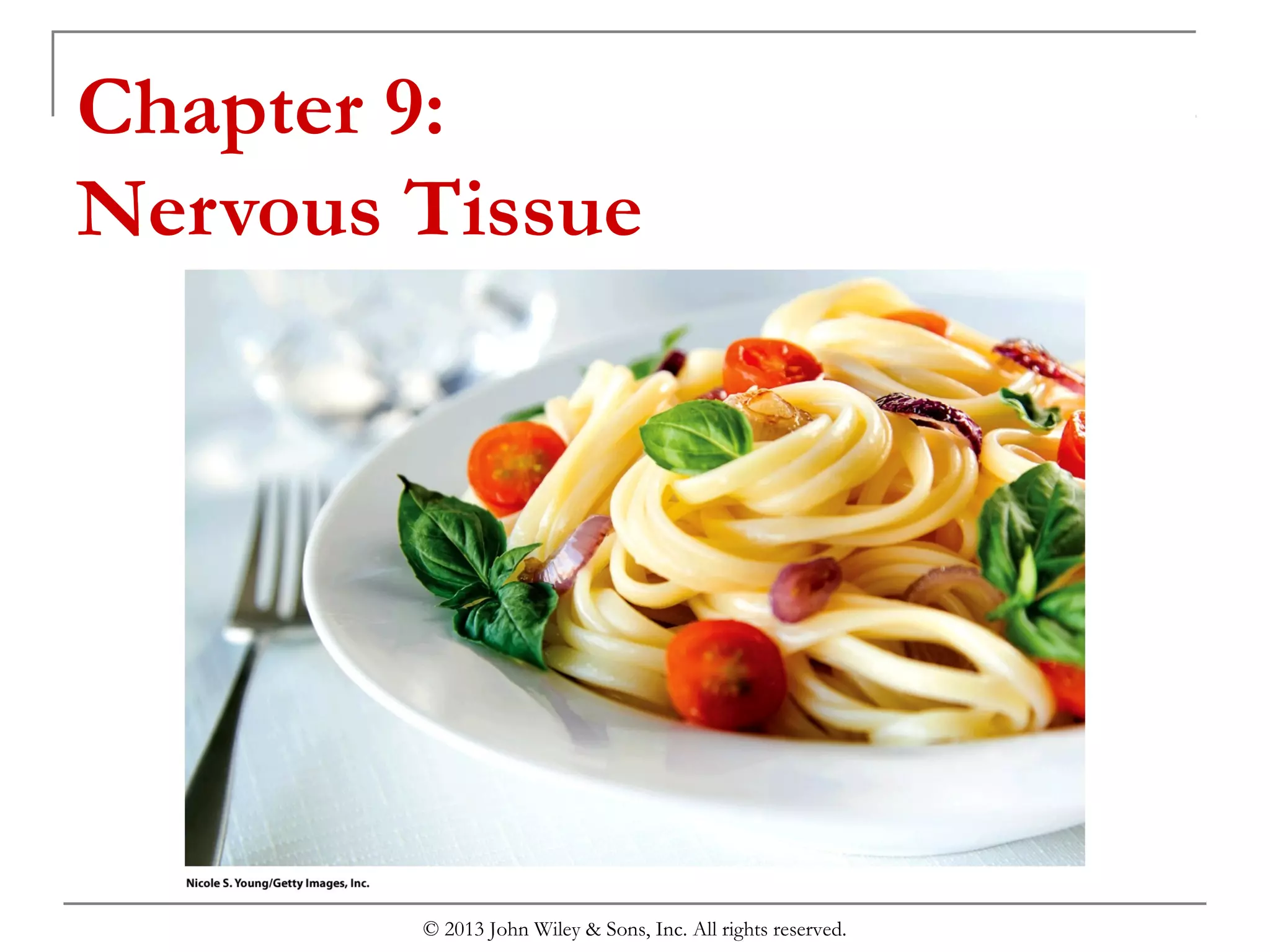 Chapter 9 nervous tissue | PPT