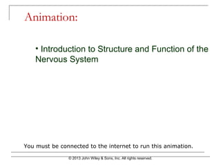 Chapter 9 nervous tissue | PPT