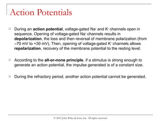 Chapter 9 nervous tissue | PPT