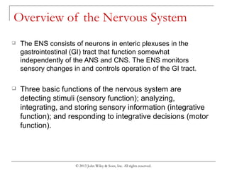 Chapter 9 nervous tissue | PPT