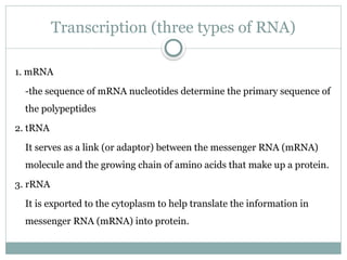 Chapter 9 Nucleic Acids.pptx DNA and DNA | PPTX