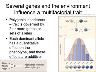 Bio 100 Chapter 9 part 2 | PPT