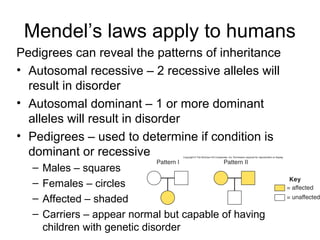 Bio 100 Chapter 9 part 2 | PPT