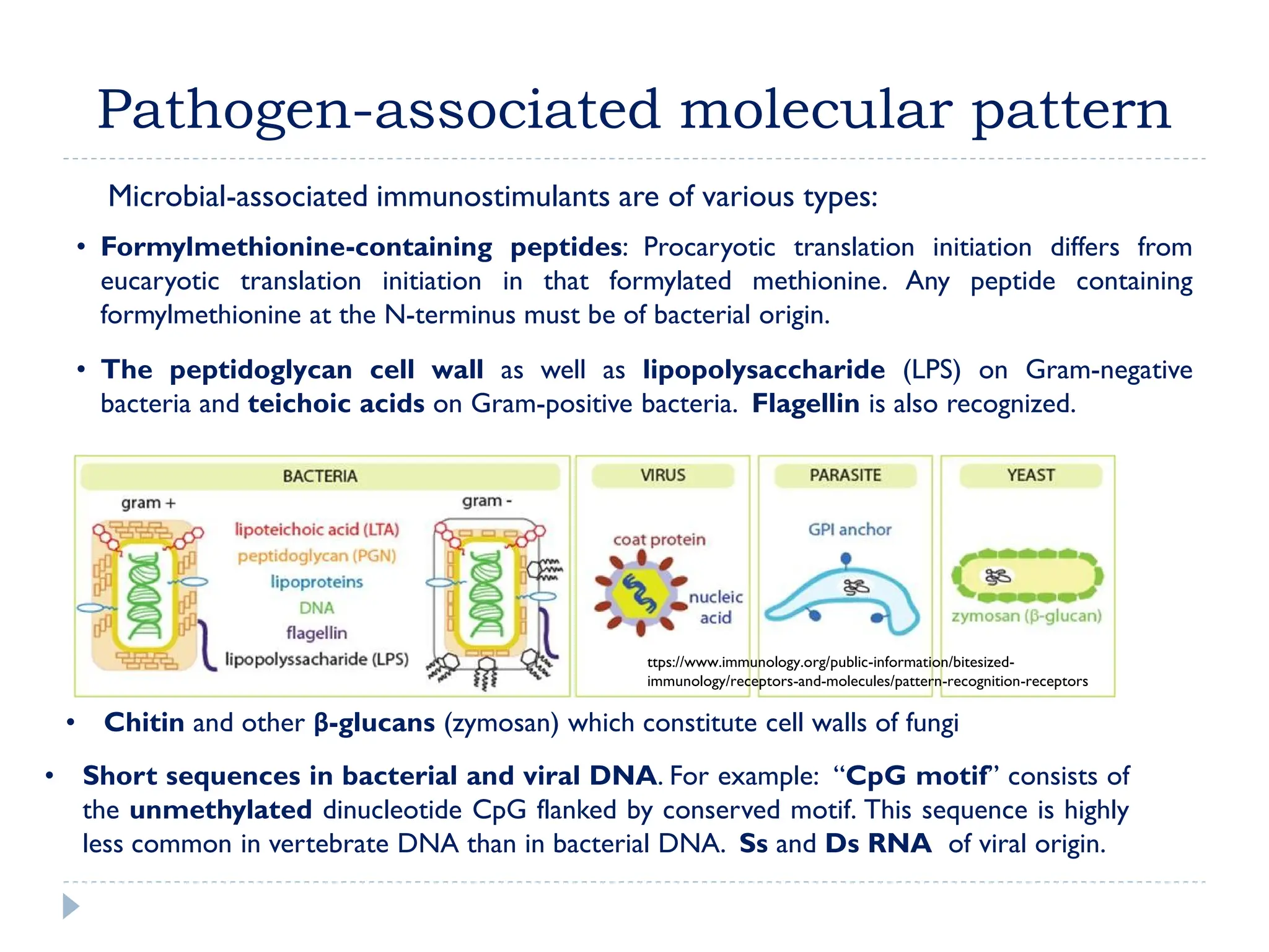 chapter 9 pathogen recognition 2018_19.pdf
