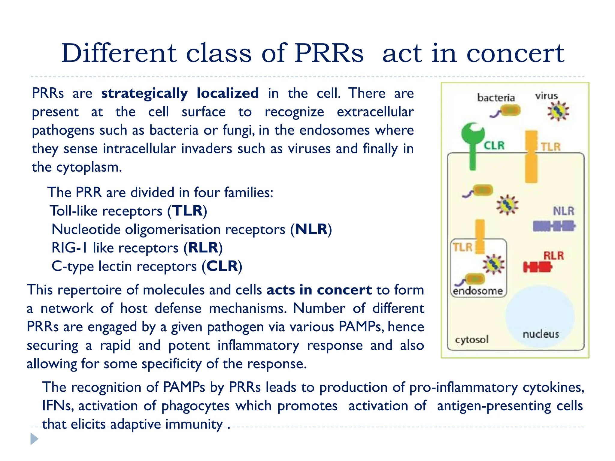 chapter 9 pathogen recognition 2018_19.pdf