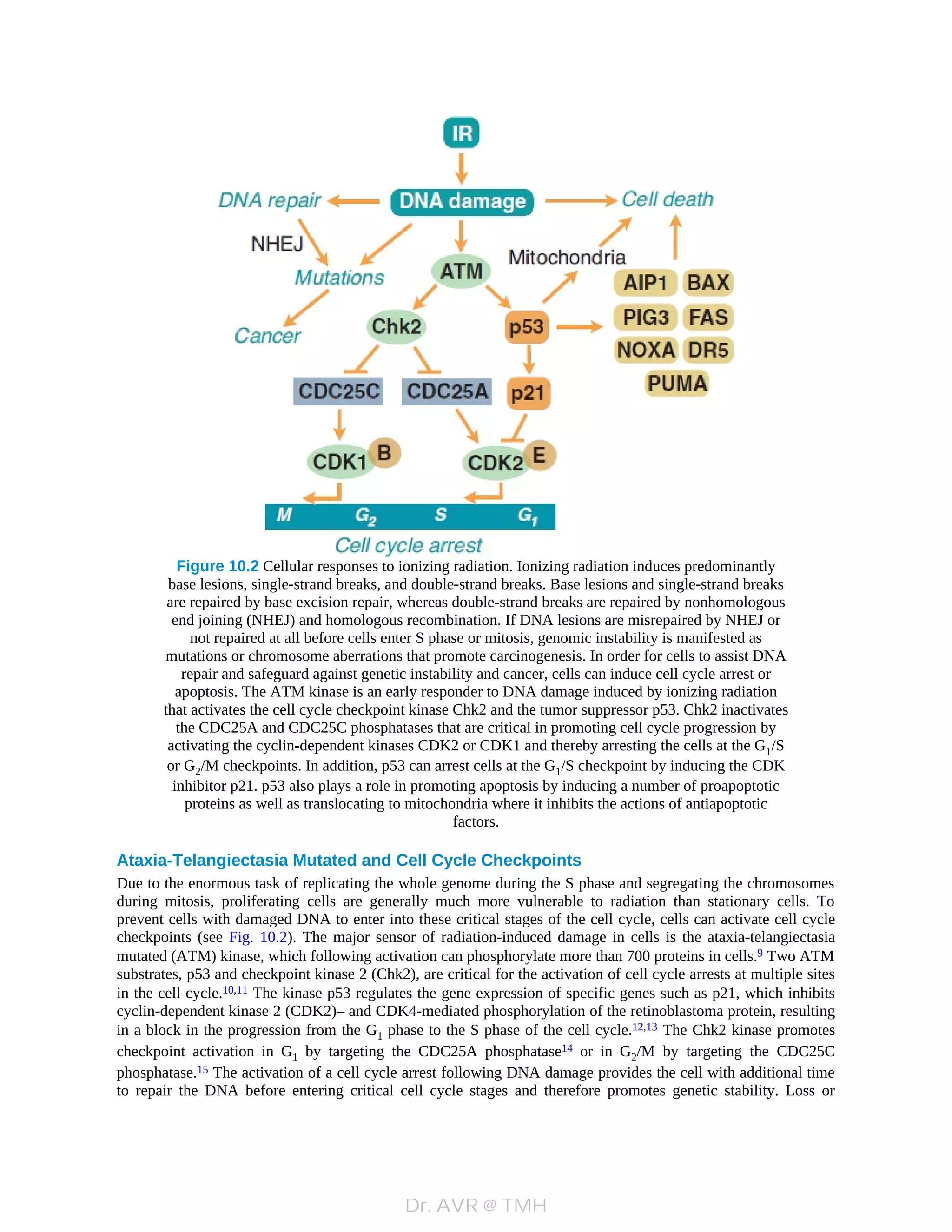 Chapter 9 physical factor and cancer | PDF
