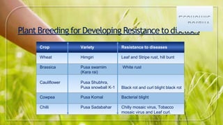 Chapter 9 plant breeding | PPTX
