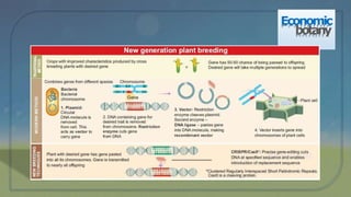 Chapter 9 plant breeding | PPTX