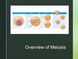 Chapter 9 Meiosis and the Genetic Basis of Sexual Reproduction | PPTX