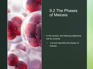 Chapter 9 Meiosis and the Genetic Basis of Sexual Reproduction | PPT