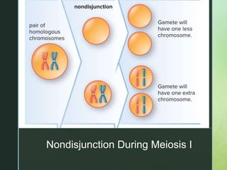 Chapter 9 Meiosis and the Genetic Basis of Sexual Reproduction | PPTX