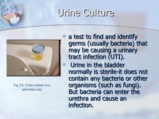 Chapter 9 presentation | PPT