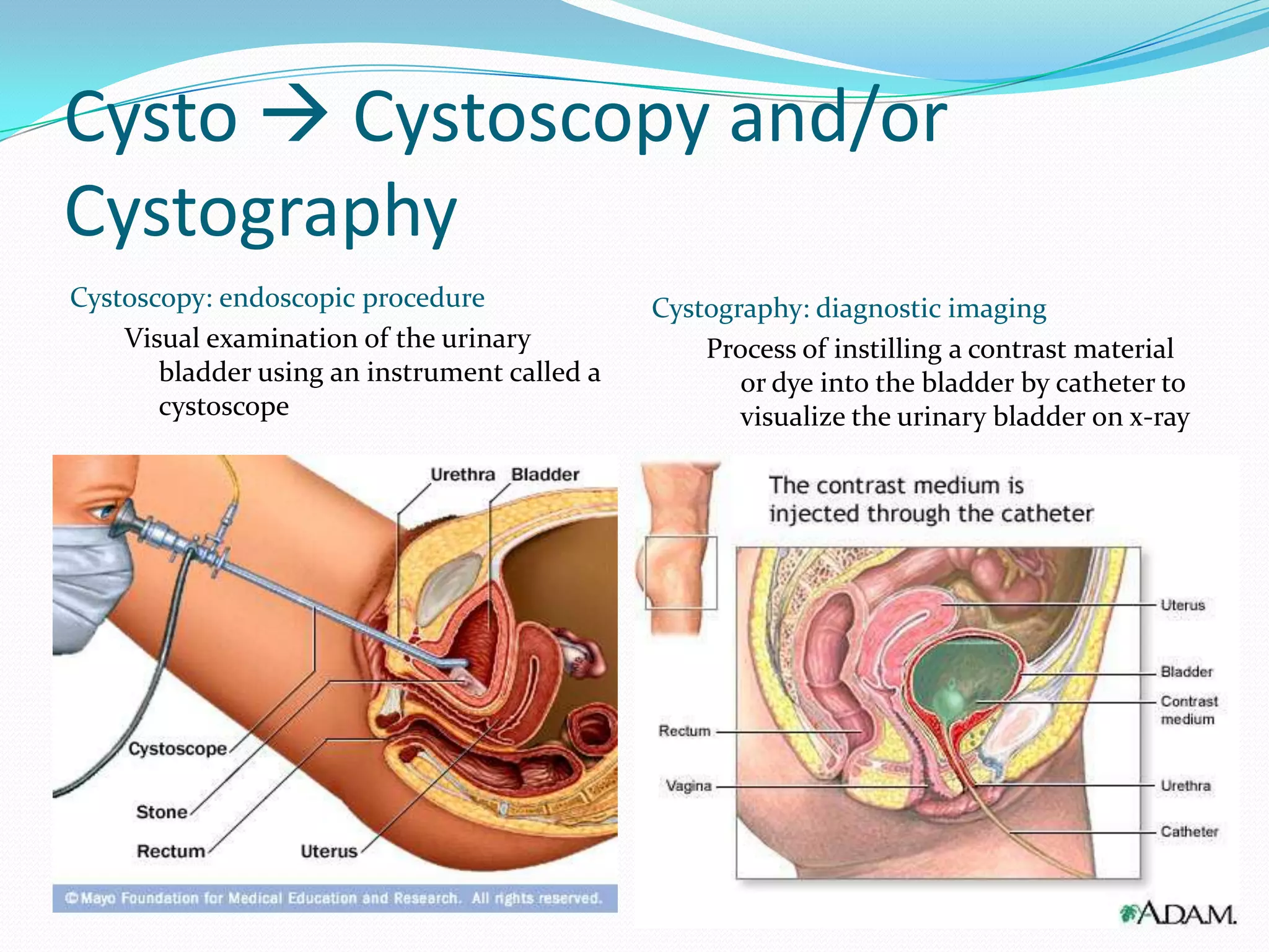 Chapter 9 presentation | PPT
