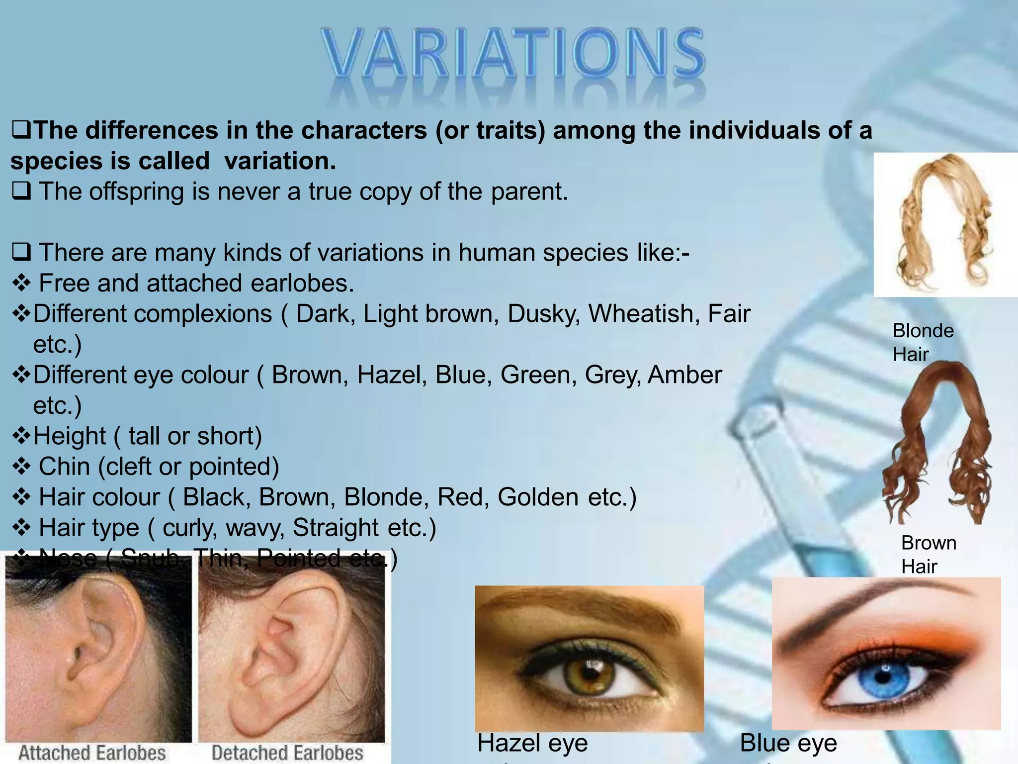 heredity and evolution | PPTX