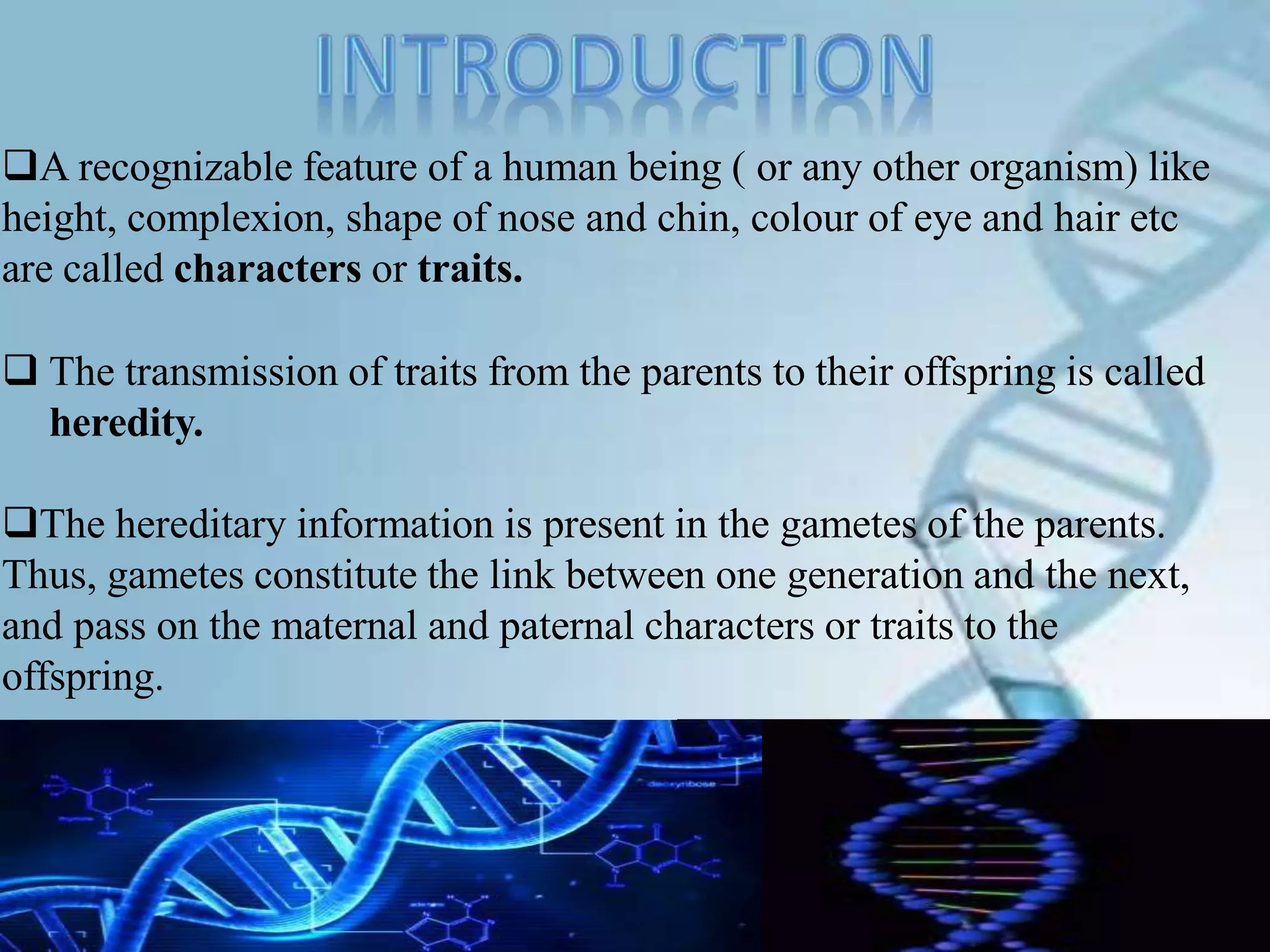 heredity and evolution | PPTX