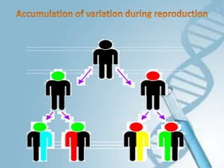 heredity and evolution | PPTX