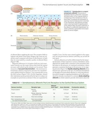 Chapter 9 The somatosensory system touch and proprioception.pdf
