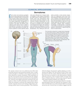 Chapter 9 The somatosensory system touch and proprioception.pdf