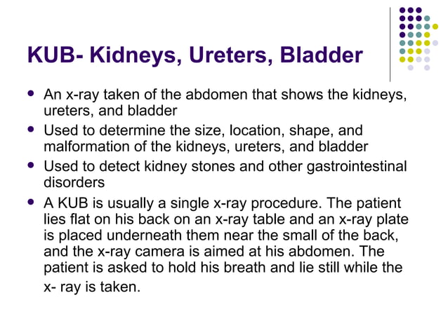 Chapter 9 urinary system | PPT