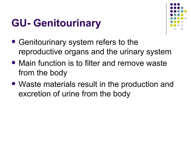 Chapter 9 urinary system | PPT