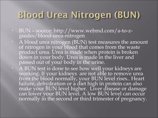 Chapter 9 – urinary system | PPT