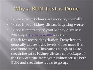 Chapter 9 – urinary system | PPT