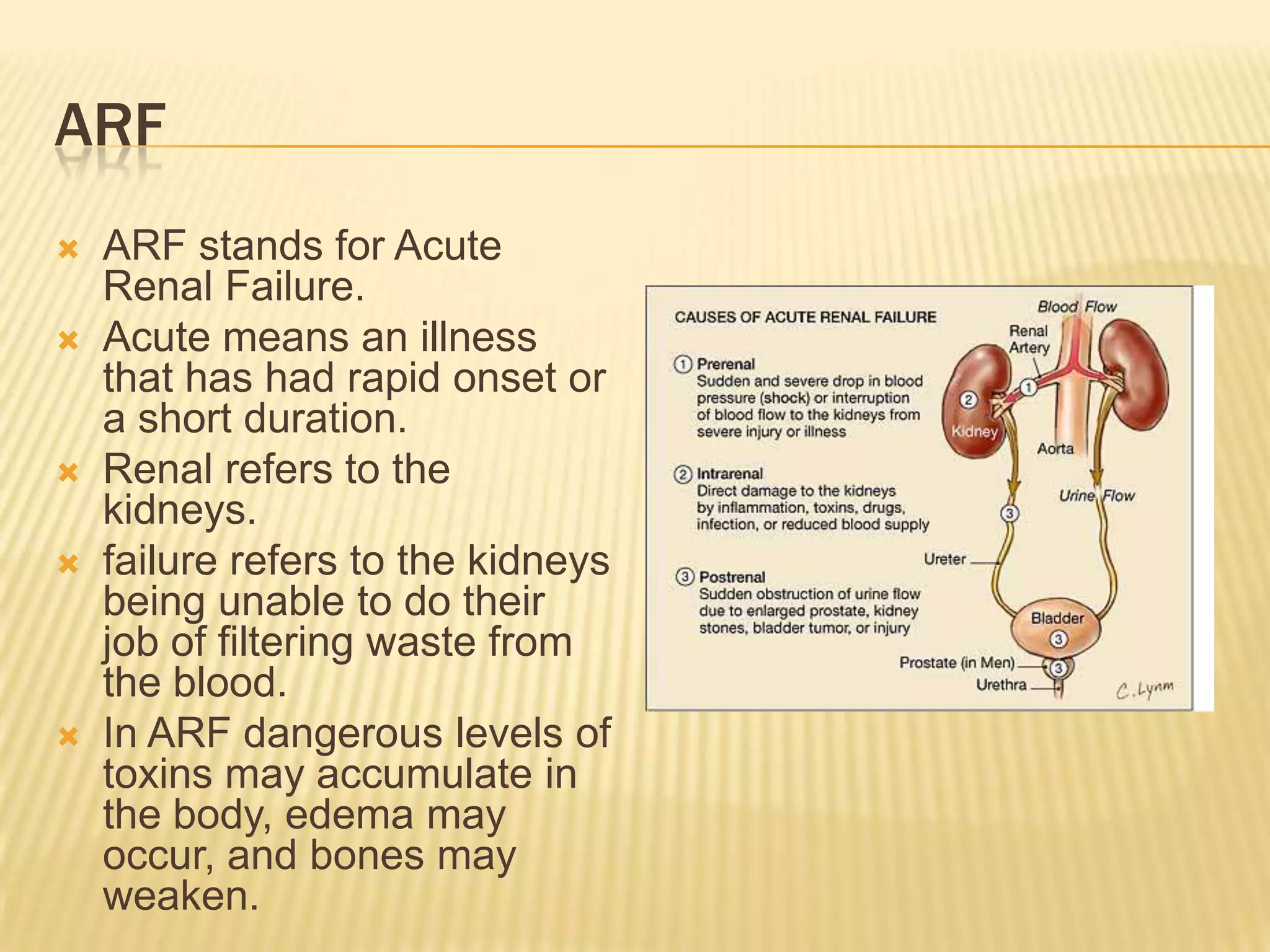Chapter 9 urinary system abbreviations | PPTX