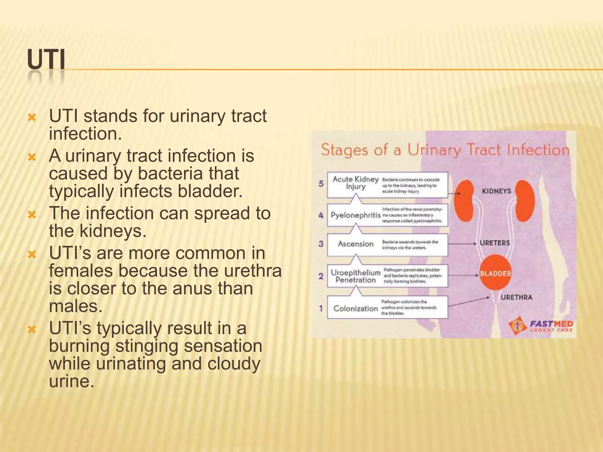 Chapter 9 urinary system abbreviations | PPTX