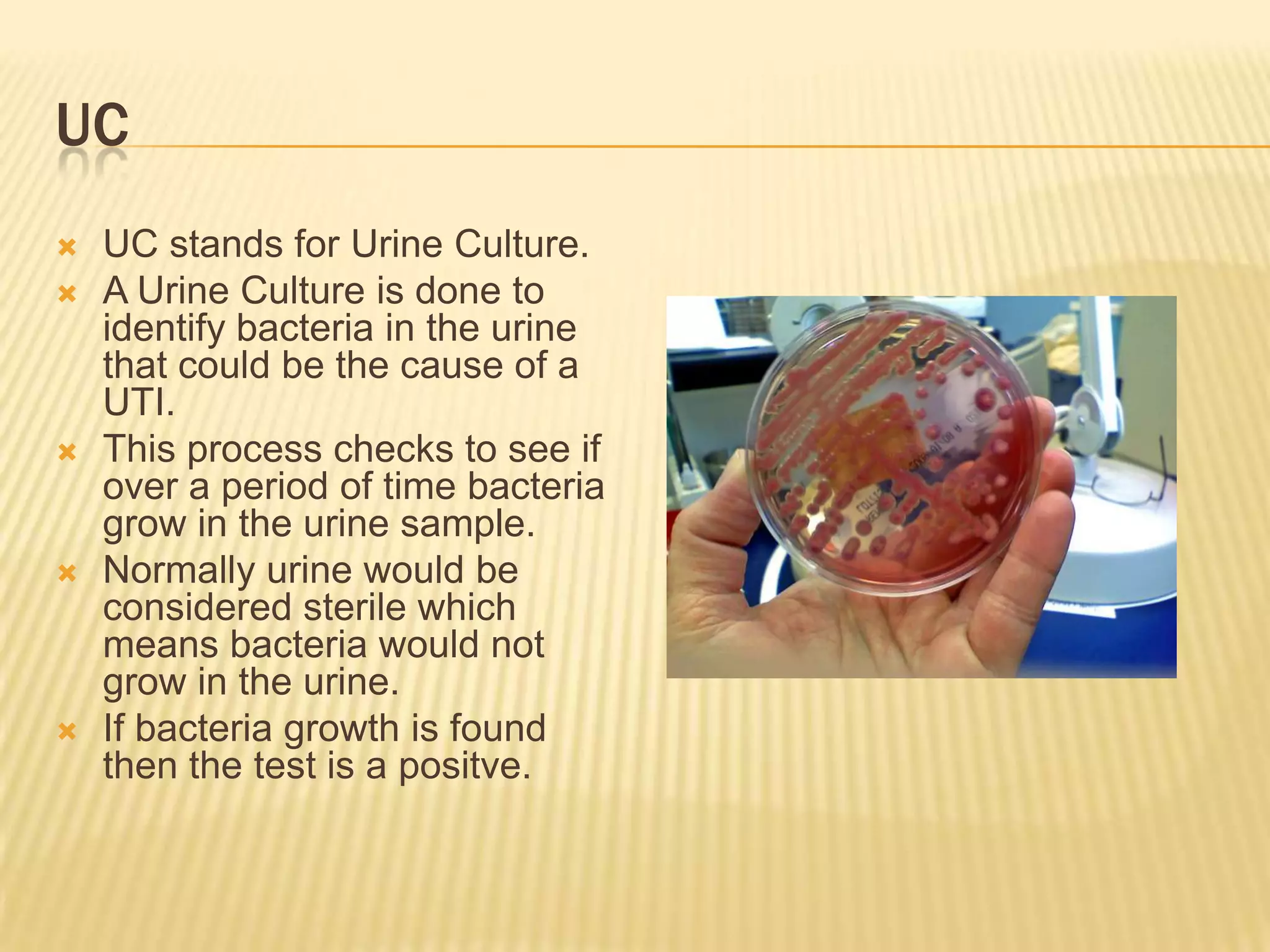 Chapter 9 urinary system abbreviations | PPTX