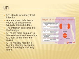 Chapter 9 urinary system abbreviations | PPT